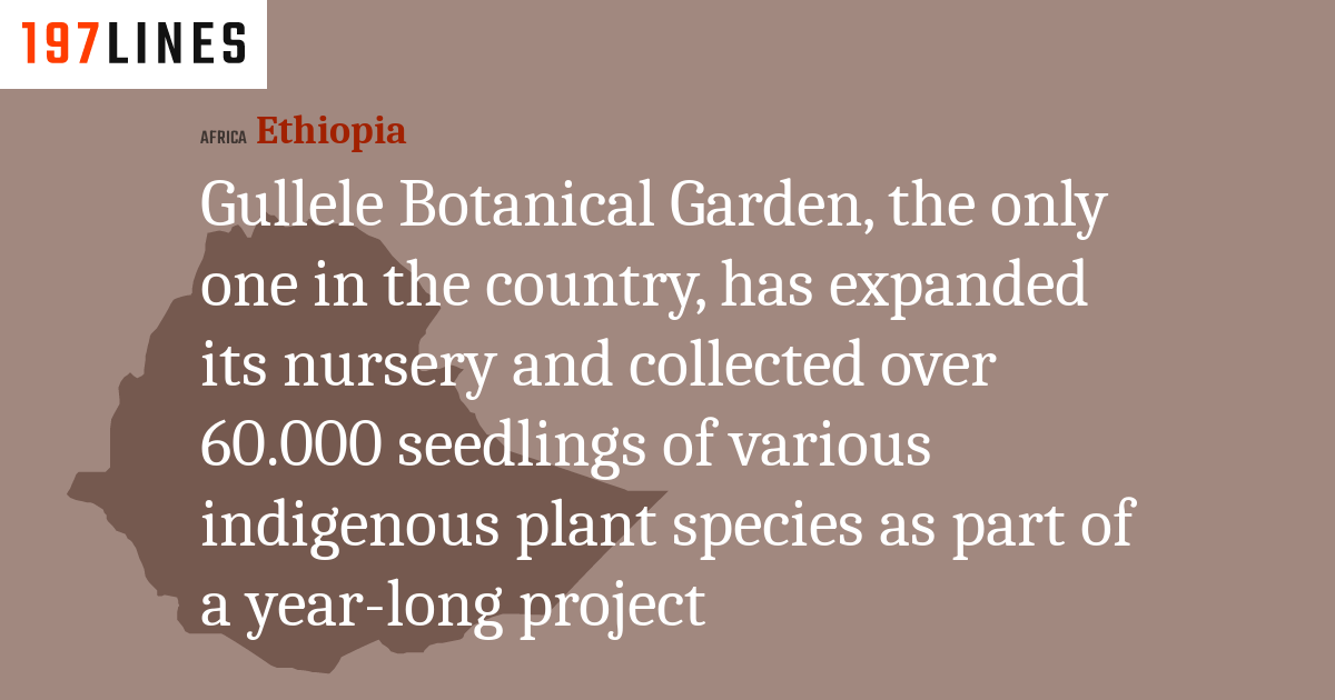 Gullele Botanical Garden, the only one in the country, has expanded its ...
