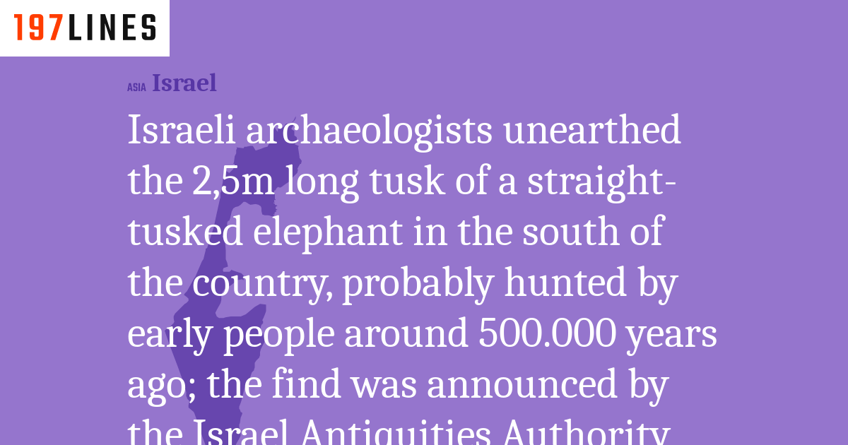 Israeli archaeologists unearthed the 2,5m long tusk of a straight ...