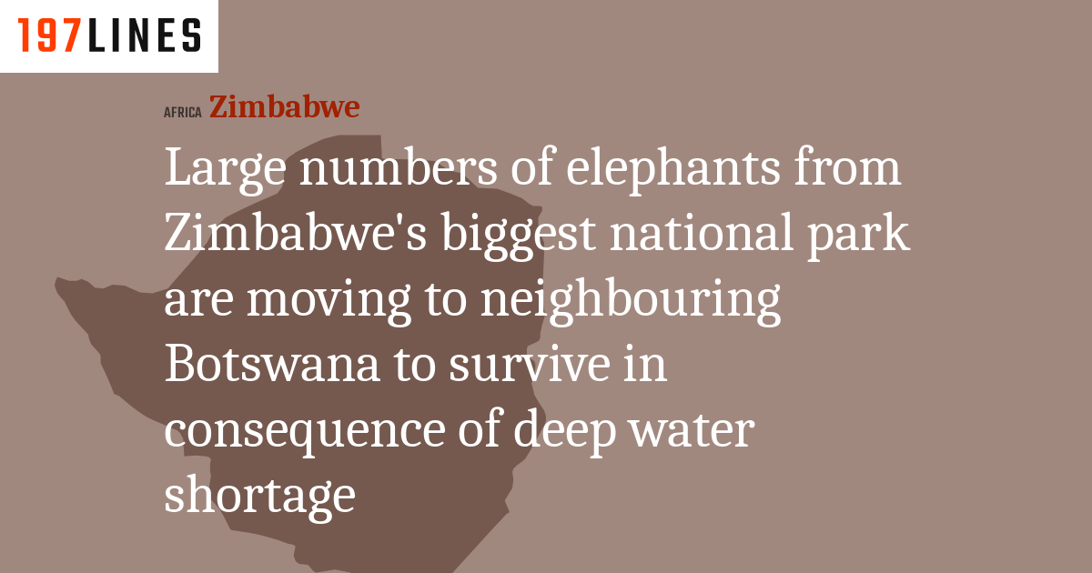 Large numbers of elephants from Zimbabwe's biggest national park are ...