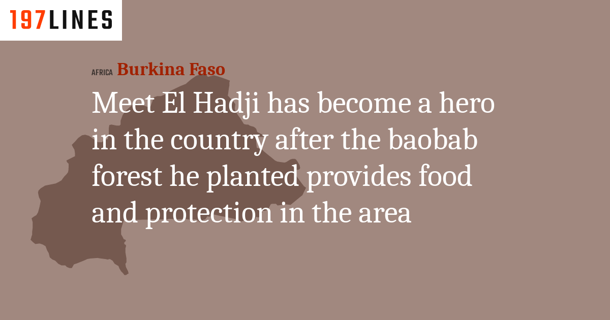 Meet El Hadji has become a hero in the country after the baobab forest ...
