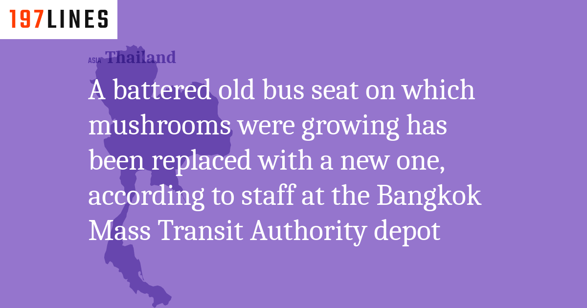 A battered old bus seat on which mushrooms were growing has been ...
