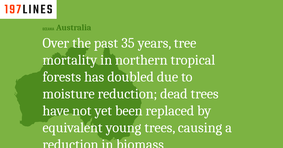 Over the past 35 years, tree mortality in northern tropical forests has ...