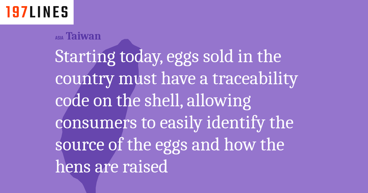 Starting today, eggs sold in the country must have a traceability code ...