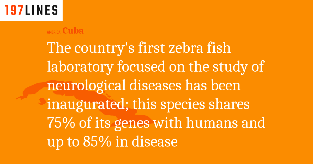 The country's first zebra fish laboratory focused on the study of ...