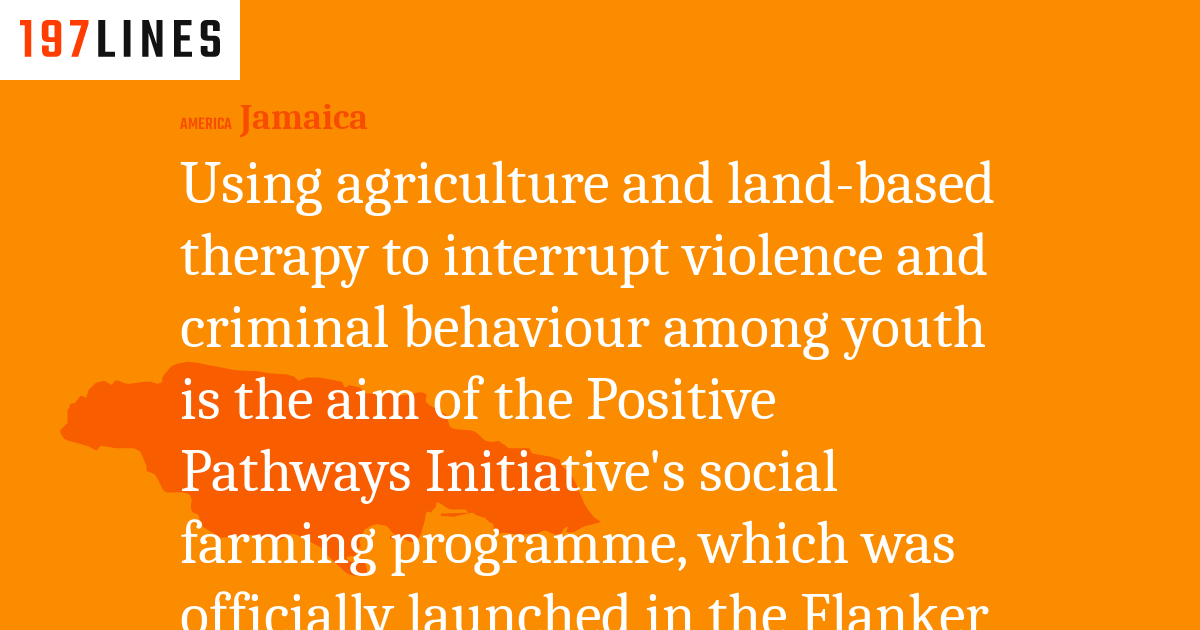 Using agriculture and land-based therapy to interrupt violence and ...